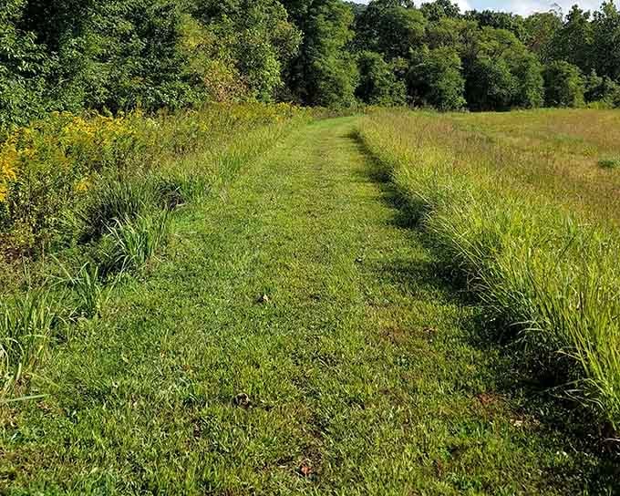 These mowed meadow trails prove that sometimes the road less traveled is actually perfectly maintained and absolutely gorgeous.