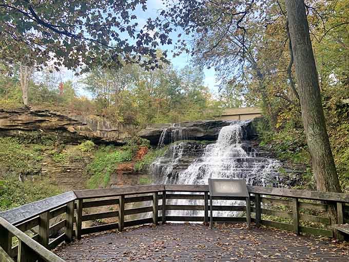 The viewing deck puts you front and center for nature's daily performance, no ticket required.