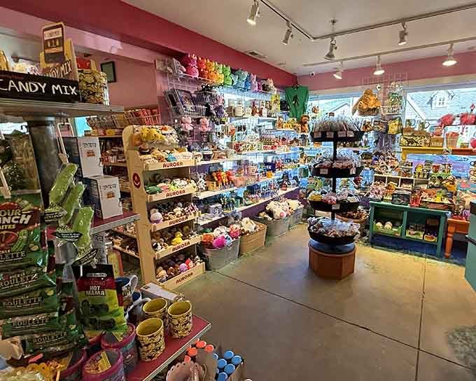 Step inside and suddenly every surface becomes a treasure map leading straight to your childhood memories.