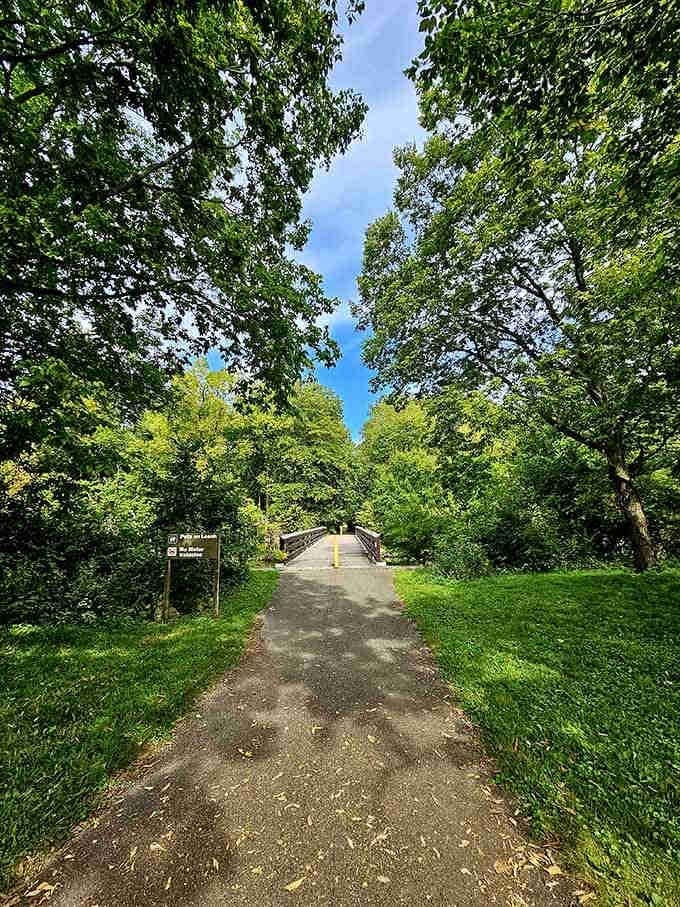 Tree-canopied trails that make you forget you're in the middle of Ohio, not some enchanted forest.