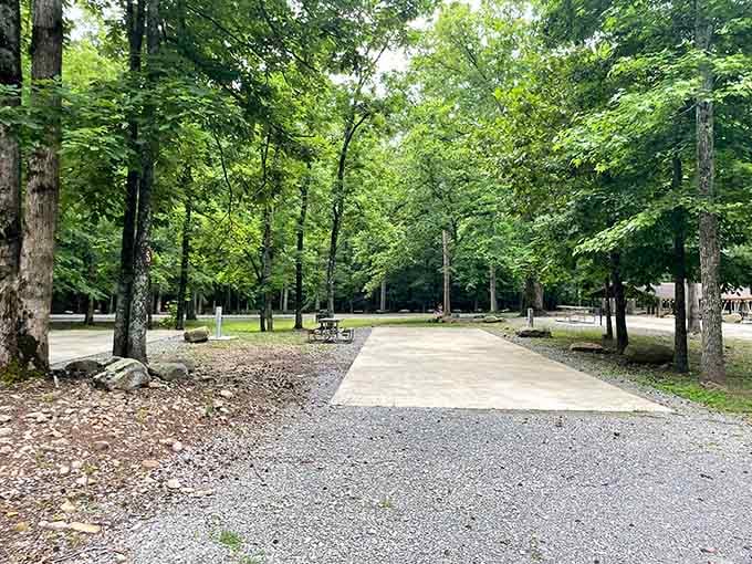 These shaded campsites prove that roughing it doesn't mean you can't pick a civilized spot to pitch your tent.