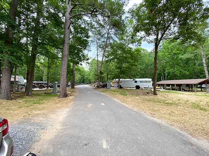 Tree-lined paths that look like they belong in a fairy tale, minus the breadcrumbs and questionable witches.