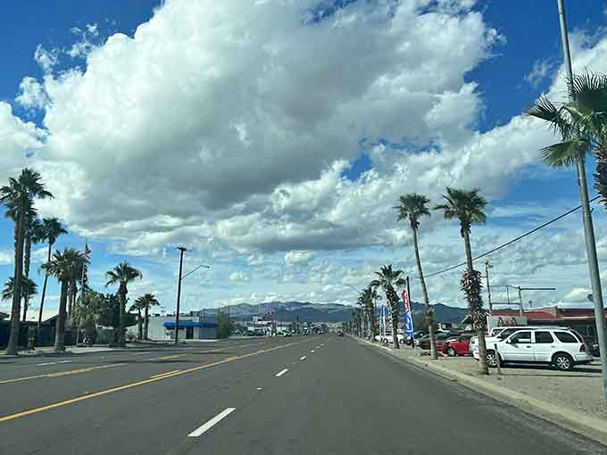 Those palm trees lining the street signal you're entering somewhere special, like the opening credits of a classic road trip movie.