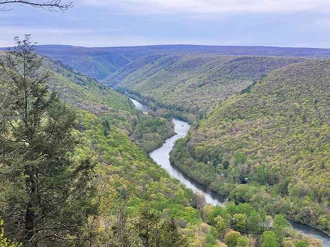 That's not a postcard, that's your backyard putting every screensaver to shame with zero effort.