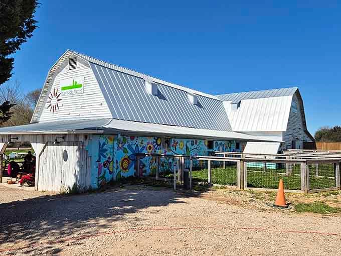 The farm's charming pavilion welcomes visitors with colorful murals that somehow make even barns look Instagram-worthy and delightful.