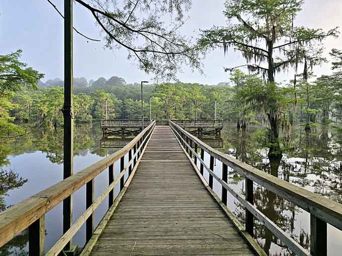 This wooden boardwalk leads you into another world, where Spanish moss and silence reign supreme.