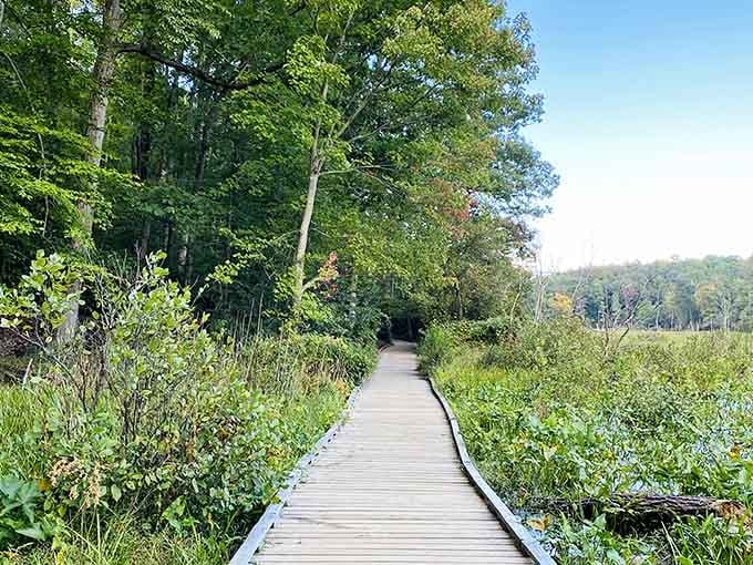 This boardwalk through the wetlands proves that getting there really is half the fun, mosquitoes notwithstanding.