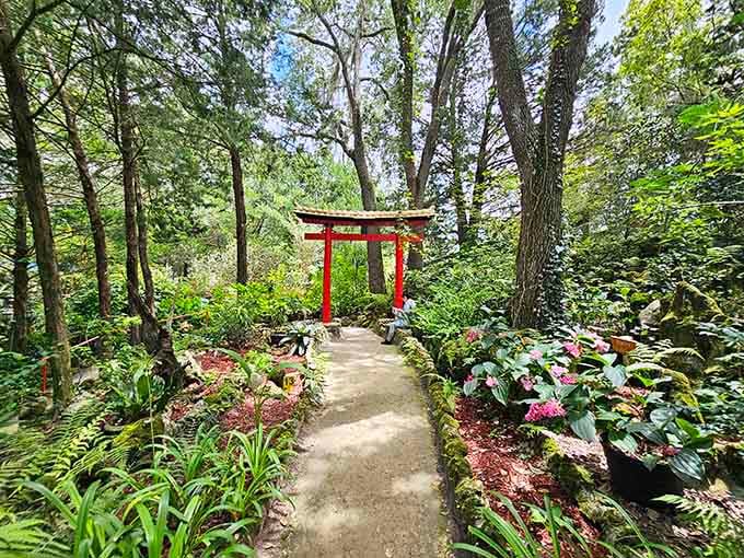 Walking through this torii gate feels like stepping into another world, minus the jet lag.