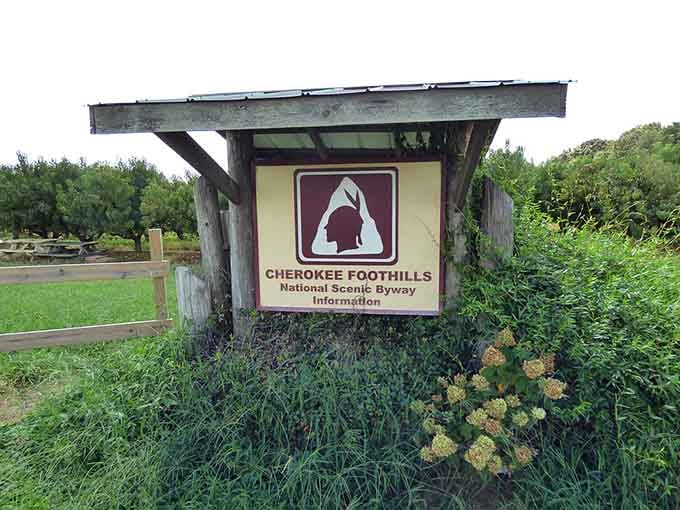 When a highway gets its own official welcome sign, you know you're about to experience something special.
