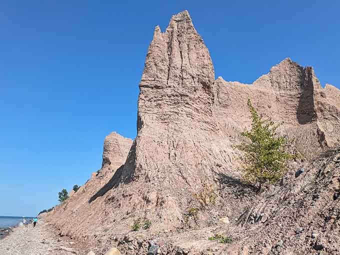 Standing before these geological giants feels like discovering Narnia, but with better weather and no talking lions required.