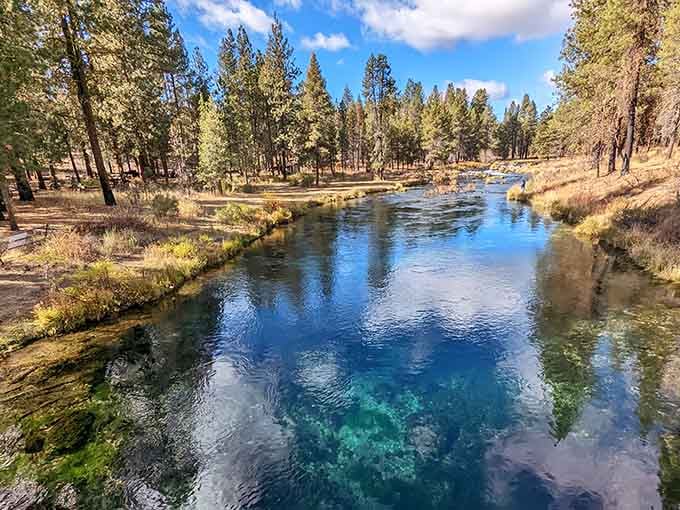 Water so clear it looks Photoshopped, proving nature still outperforms any Instagram filter.