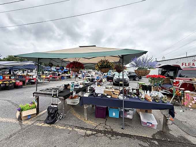 Vendor stalls stretch endlessly, each one promising discoveries you didn't know you needed until now.
