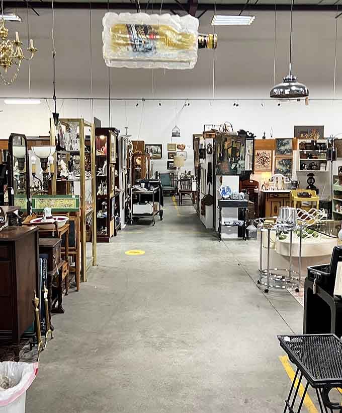 These aisles stretch like time tunnels, each turn revealing another era's forgotten favorites and hidden gems worth discovering.