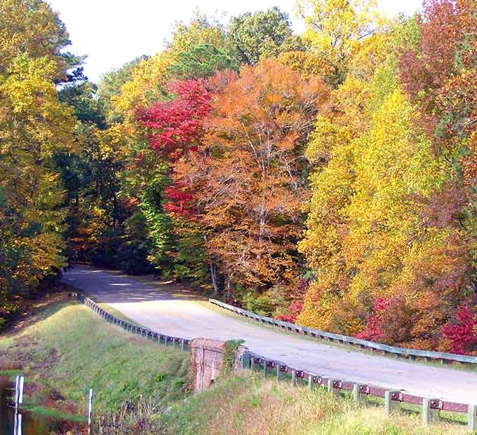 Mother Nature showing off like she's auditioning for a calendar, and honestly, she's got the part.