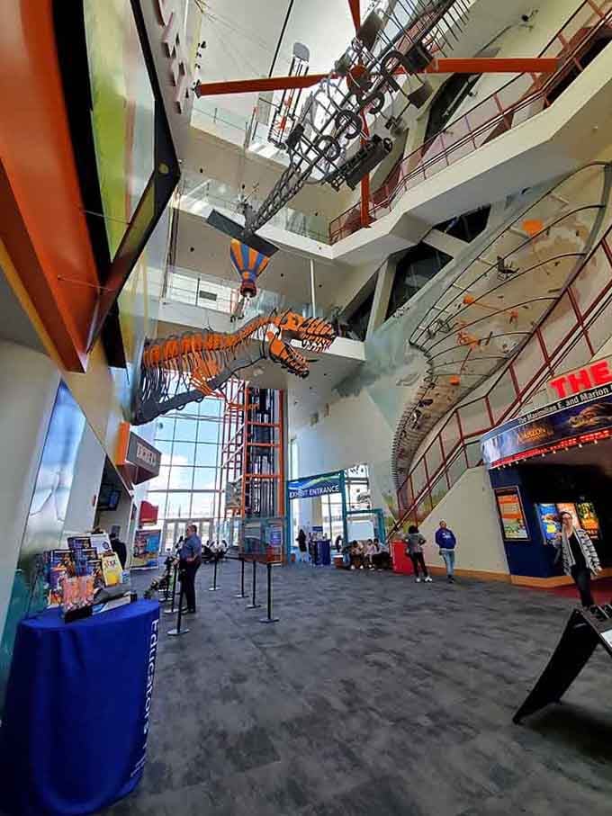 That dinosaur skeleton hanging overhead? Just casually reminding you how small your problems really are today.