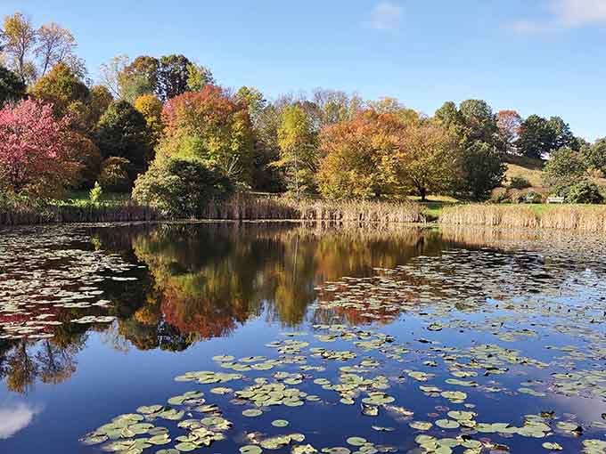Fall colors reflecting on still water create a mirror image that'll confuse your sense of direction.