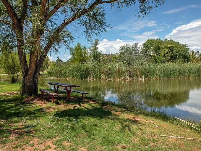 Dead Horse Ranch State Park offers peaceful waterside moments where you can actually hear yourself think for once.