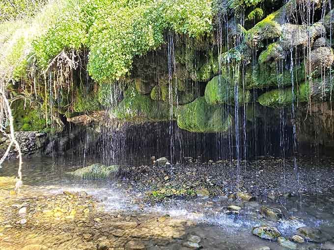 Water cascades down moss-covered walls like nature installed its own shower system, complete with ambient lighting.