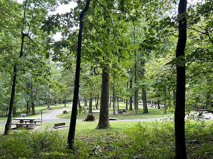 Your neighbors at the campground are mostly trees, which means they're quiet and never borrow your stuff.