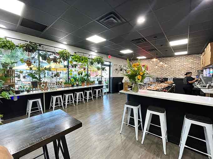 Inside, it's all clean lines and good vibes, where houseplants meet happiness in doughnut form.