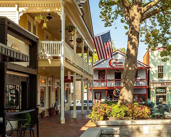 That town square tree has provided more shade for wine-sipping visitors than an Italian villa's pergola ever dreamed of providing.