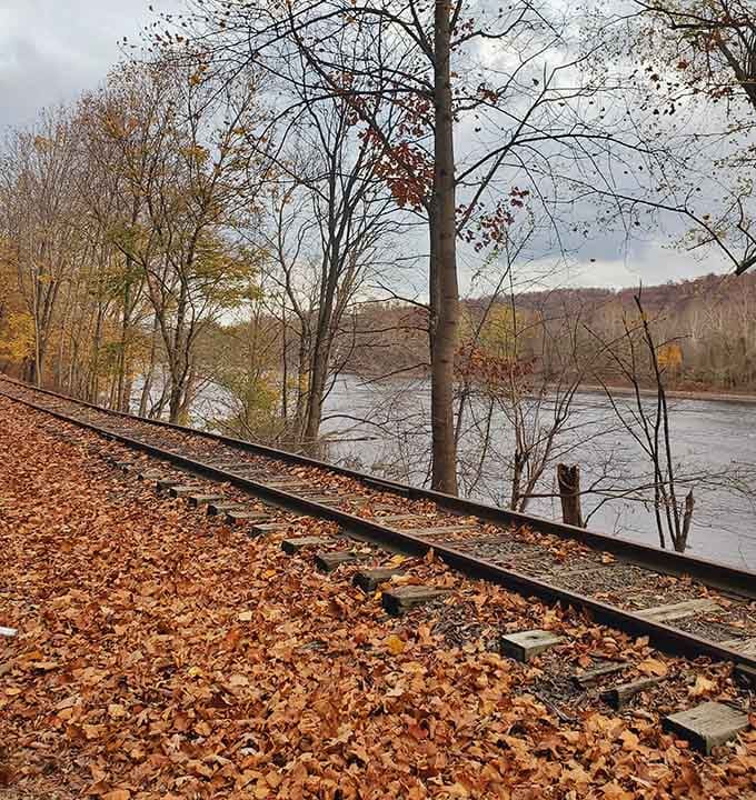 Old railway tracks running alongside the river remind you that some journeys are better taken slowly, preferably with snacks.