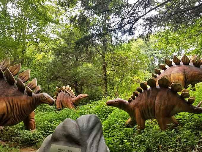 These Stegosaurus buddies look like they're having a serious discussion about who has the better back plates.