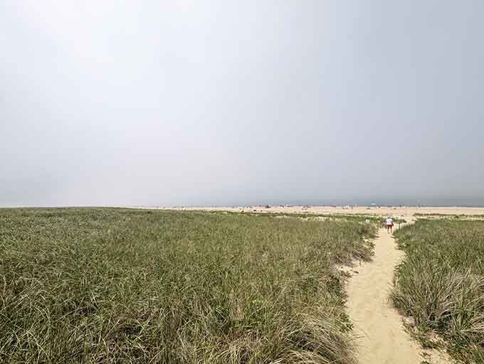 Beach grass catching the last light creates shadows and textures that photographers dream about nightly.