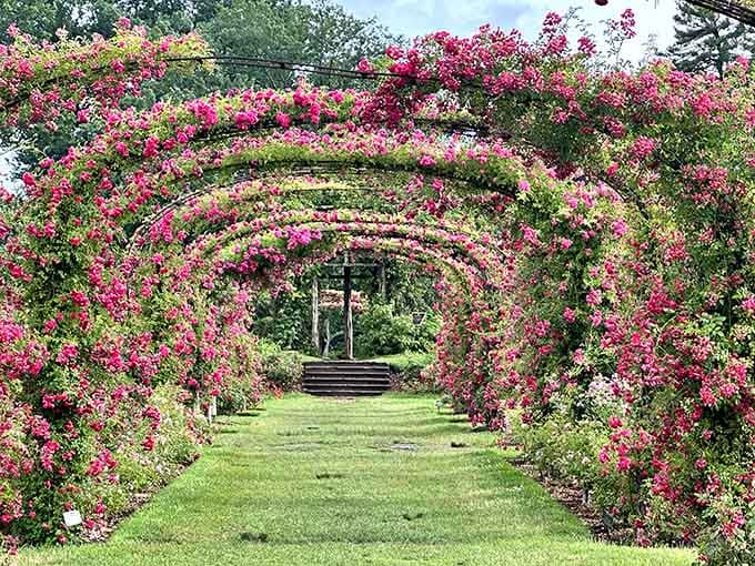 Flower-covered archways that make every walk feel like a scene from a romantic movie.