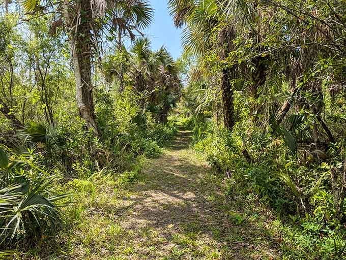 This trail looks innocent enough, but it leads to some of the wildest, most untouched Florida you'll ever experience.