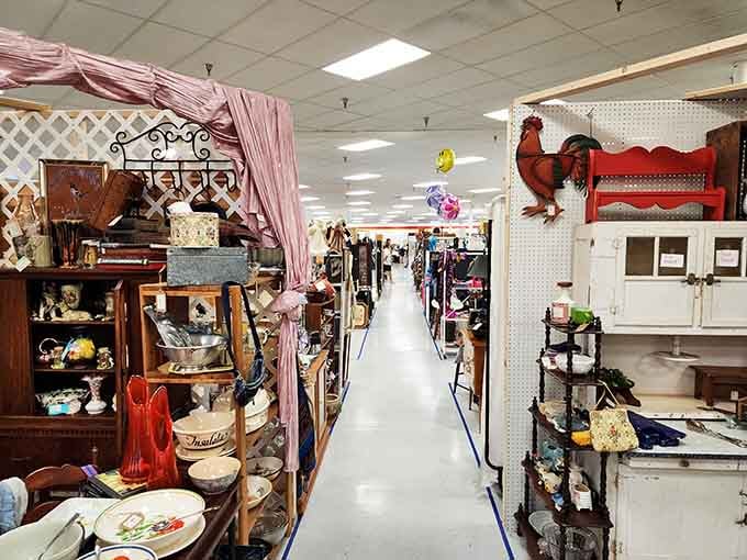 Endless aisles of nostalgia stretch before you like a time machine with really good lighting.