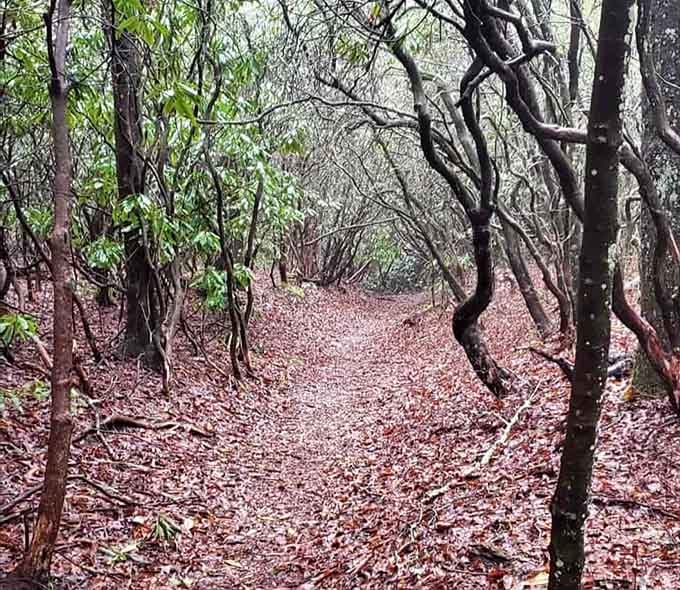 When the trail gets twisty like this, you know you're in for something special around the next bend.