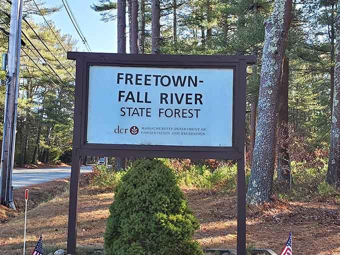 Your gateway to 5,000 acres of adventure, where getting gloriously lost is half the fun.