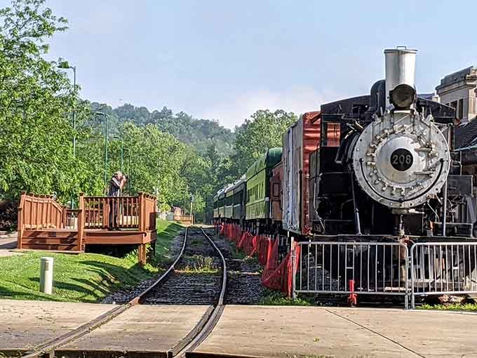 Steam locomotive number 206 sits ready for adventure, because apparently French Lick keeps spare historic trains lying around like lawn ornaments.