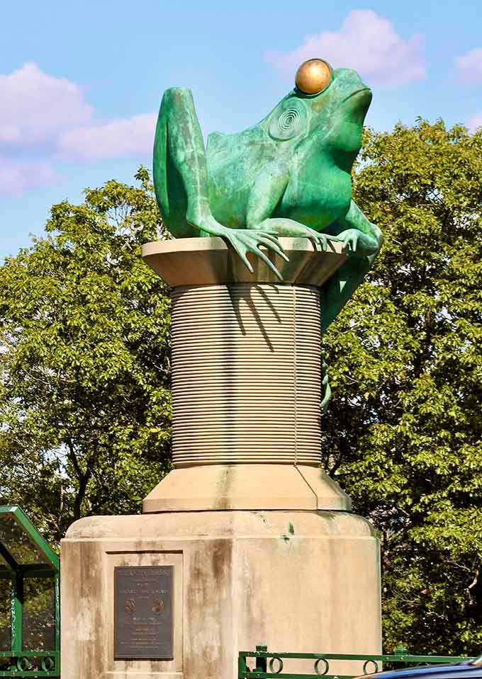 Those golden eyes aren't just watching you, they're judging your life choices with amphibian wisdom.