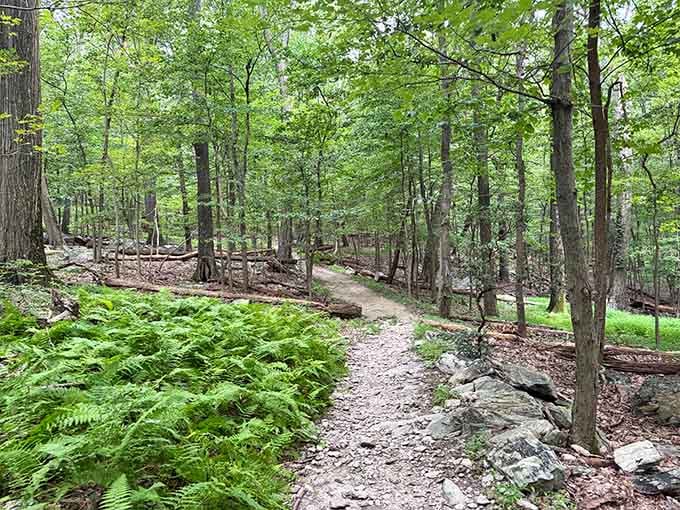 These trails wind through forests so peaceful, even your racing thoughts will slow to a stroll.