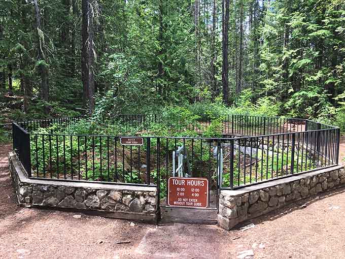 Behind this unassuming gate lies a geological wonder that's been patiently waiting millions of years for your visit.