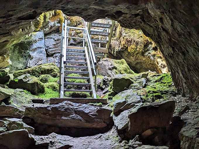 Where daylight meets darkness, moss-covered boulders frame your descent into Washington's hidden underground palace of stone.