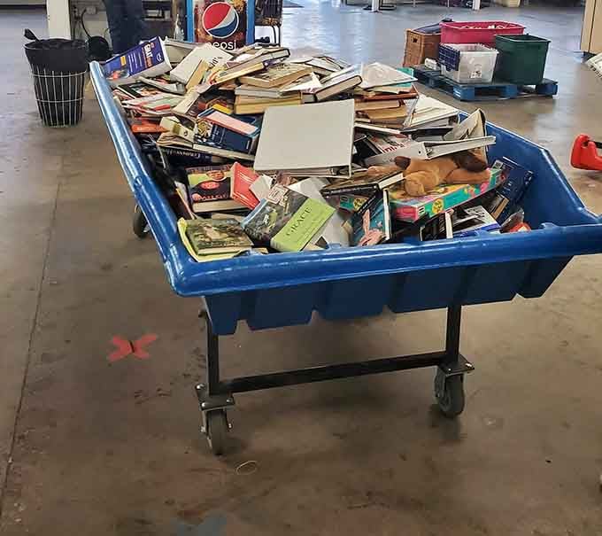 Books galore await in these bins, where literary treasures hide among the pages at unbeatable prices.