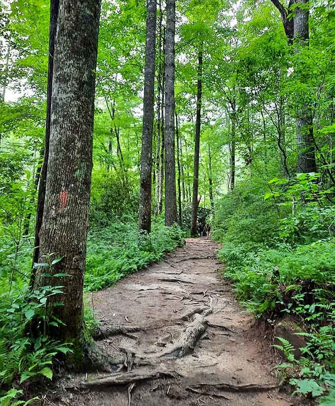 These trails don't mess around, but every root and rock leads you somewhere absolutely worth the effort.
