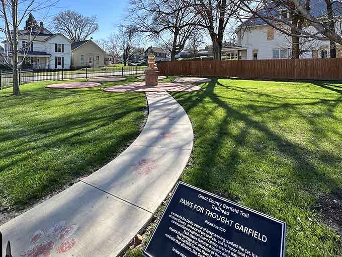 Follow the winding path to feline fame, where every turn brings another orange surprise to discover.
