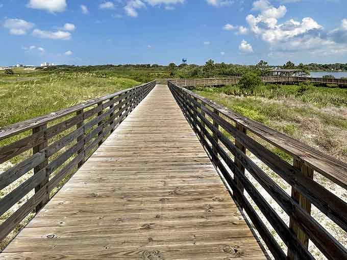 Miles of paved trails wind through marshlands where alligators sunbathe and herons fish professionally.