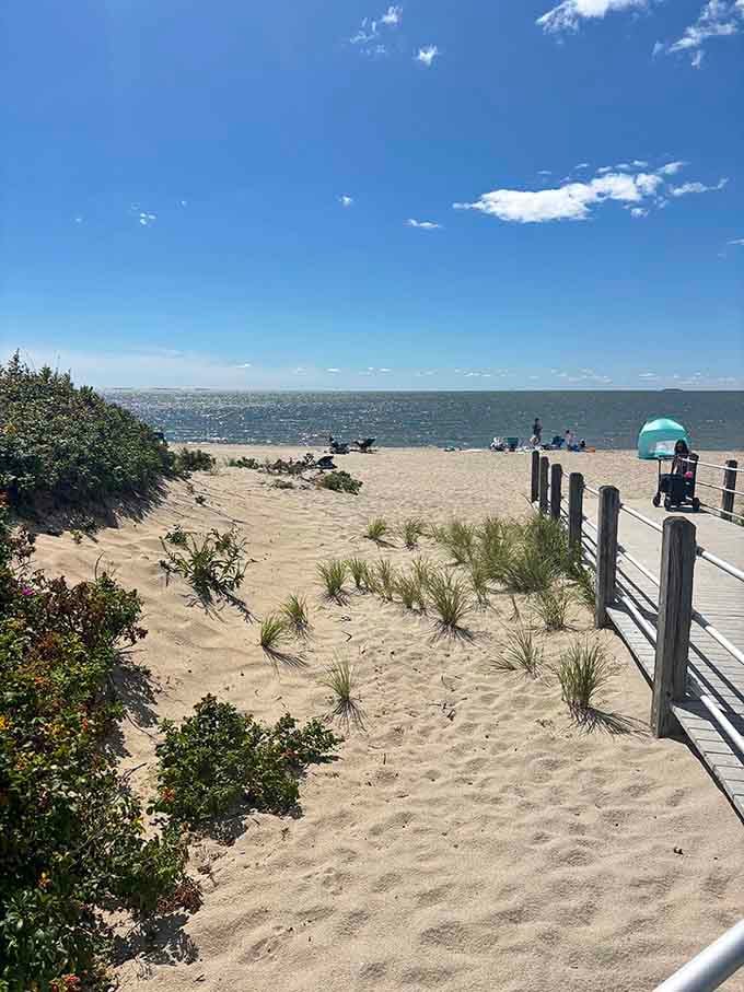 That boardwalk leading to paradise is basically Connecticut's version of the yellow brick road, minus the flying monkeys.