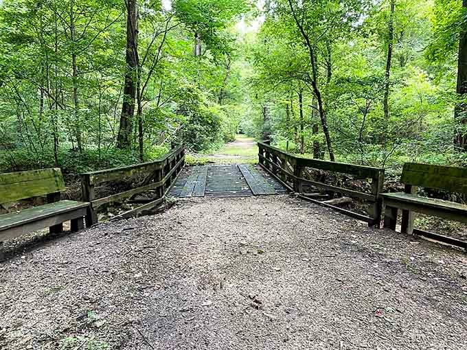 This charming wooden bridge leads deeper into the forest, inviting you to discover what adventures await around the bend.