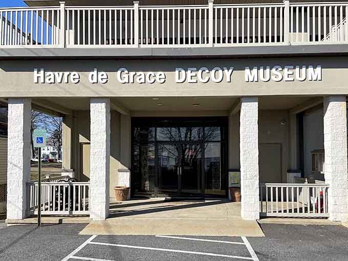 Step through these doors and enter a world where wooden waterfowl reign supreme.