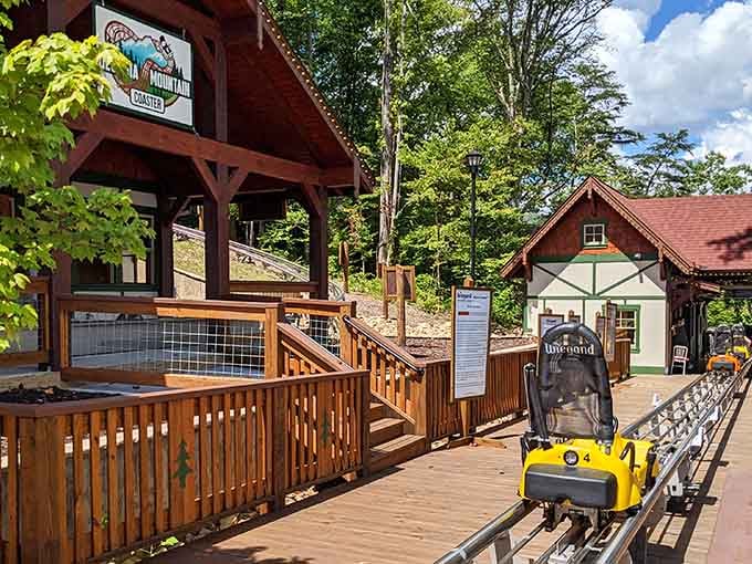 That alpine coaster isn't just sitting there looking pretty&mdash;it's your ticket to controlled chaos down the mountainside.