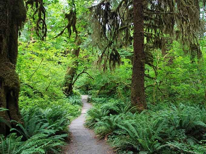 This trail whispers "come hither" in the most enchanting way nature knows how to communicate with humans.
