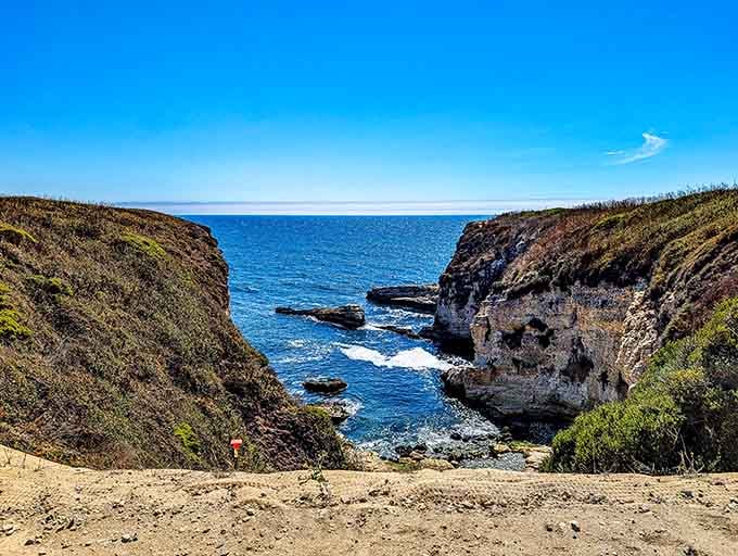 Clear blue skies and crashing waves create the kind of coastal perfection that makes you forget your worries.