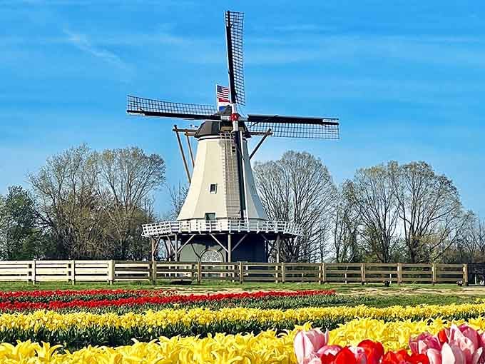 That authentic windmill isn't just for show, it's your ticket to making everyone think you flew to Amsterdam this weekend.