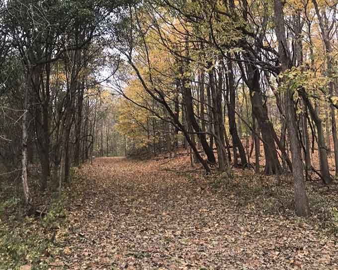 These gravel paths lead you through time itself, no DeLorean required for this particular journey into history.
